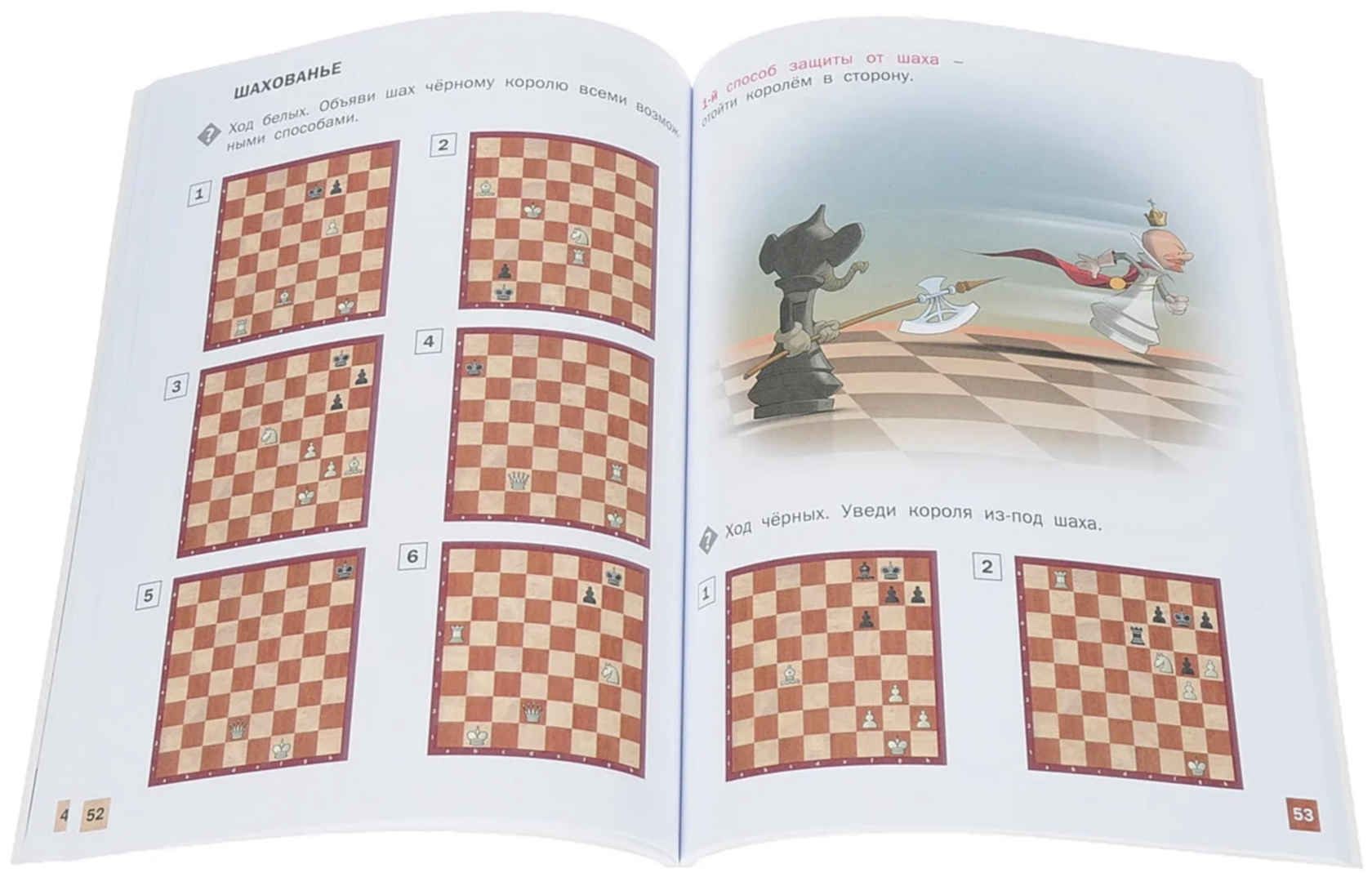 Напольные игровые шахматы для ДОУ и школ