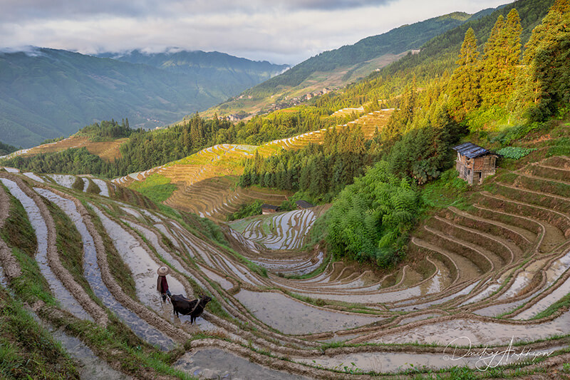 Photo tour on the Li River, rice terraces and fishermen