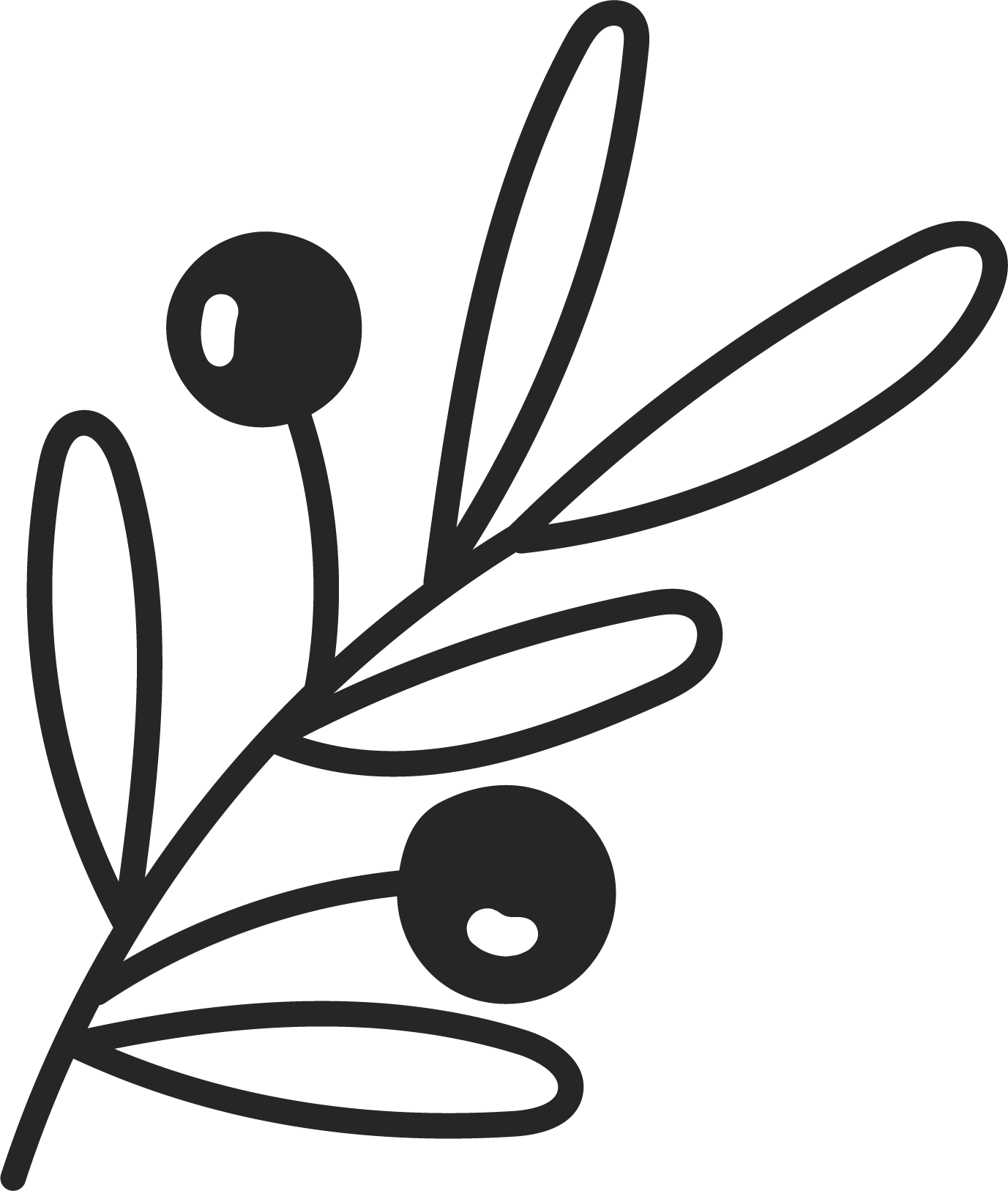 Baggins Coffee l Главная страница