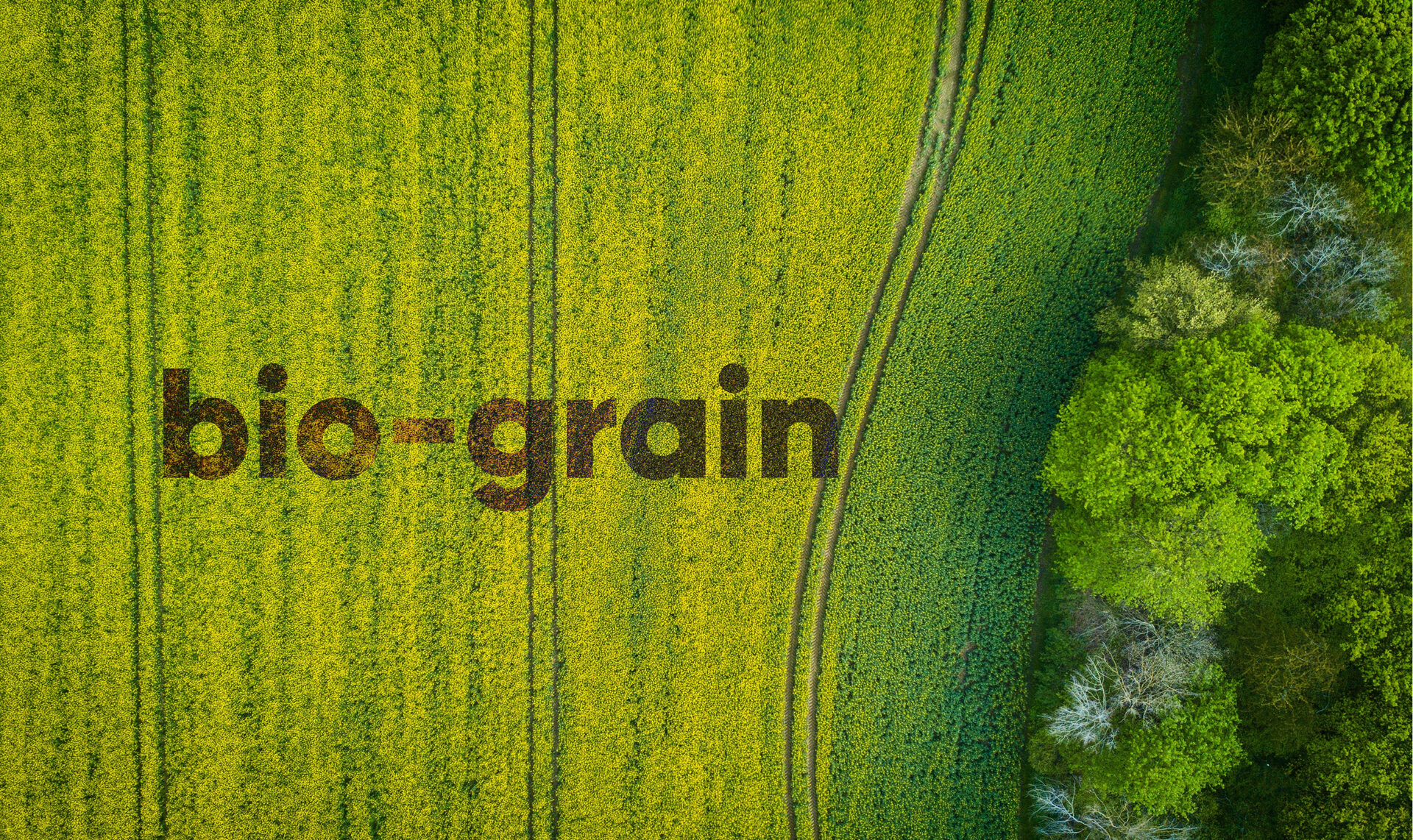 Lider w zakupie i sprzedaży produktów rolnych | biograin