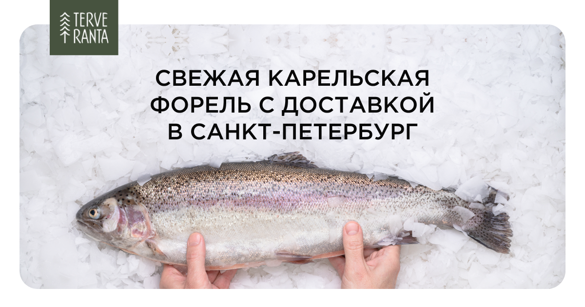 Свежая карельская форель с доставкой в Санкт-Петербург
