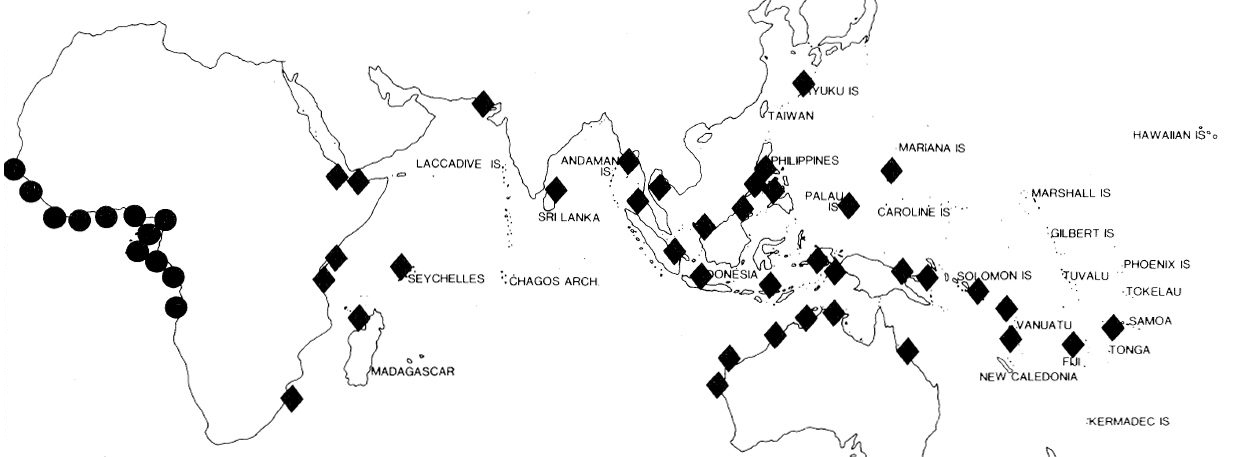 Илистые прыгуны