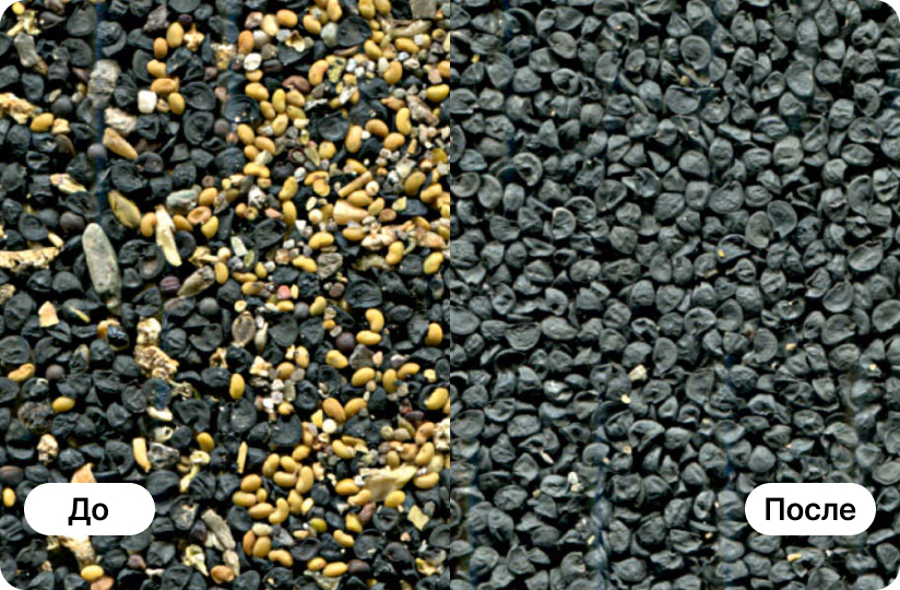 Фотосепаратор SmartSort C3