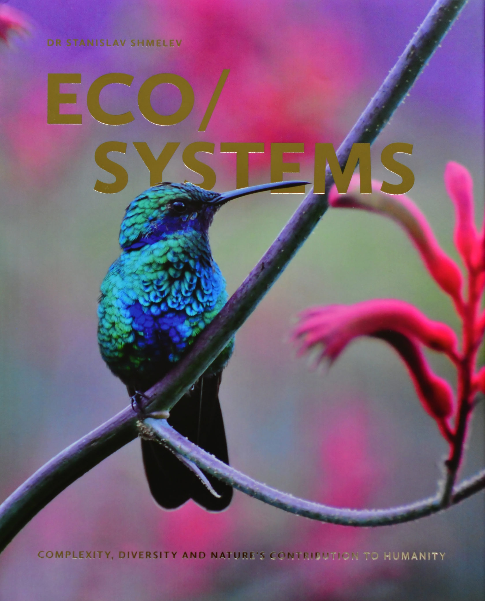 Ecosystems: Complexity, Diversity and Nature Contribution to Humanity