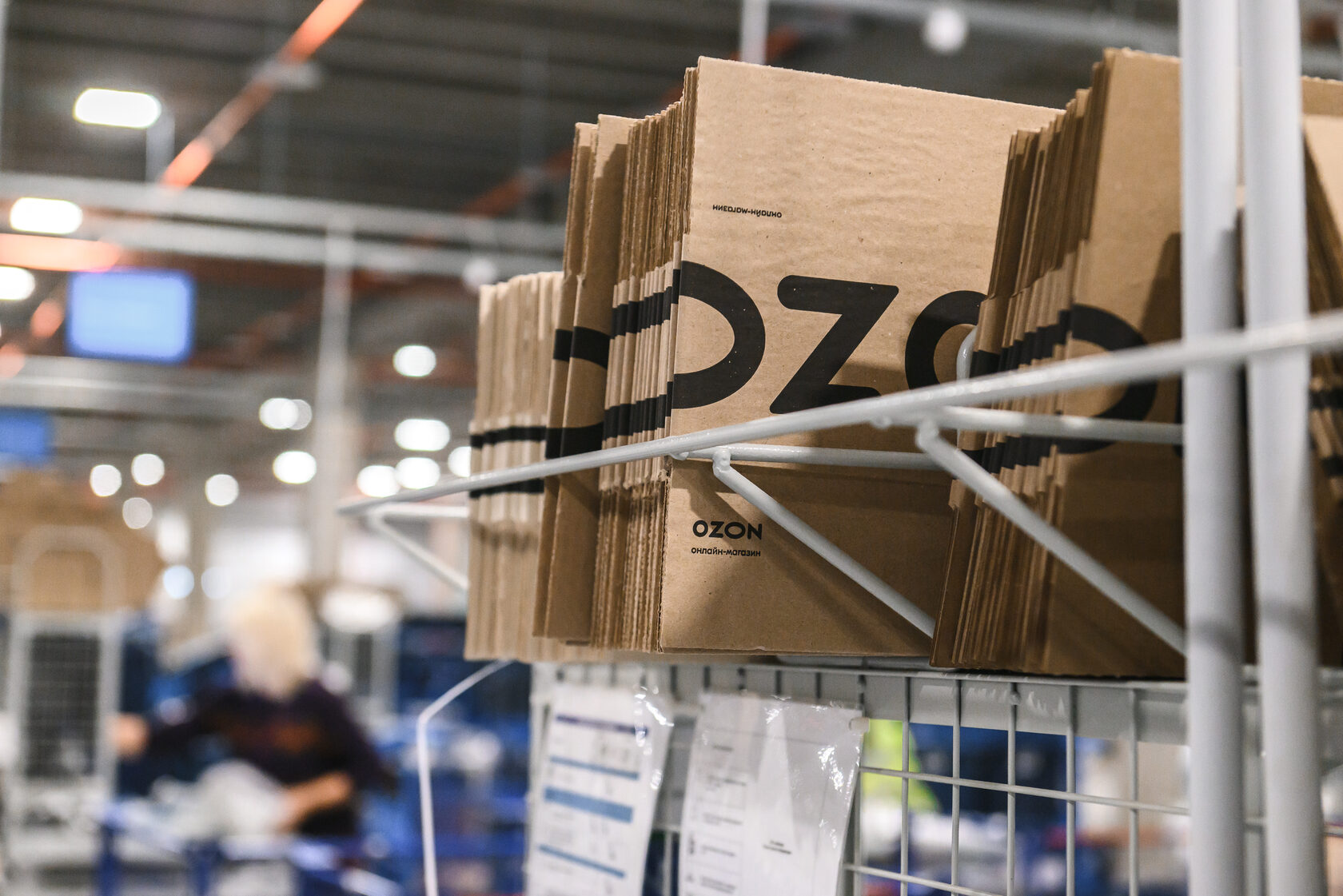 Ozon launches localized store in Kazakhstan Ozon launches localized store in Kazakhstan