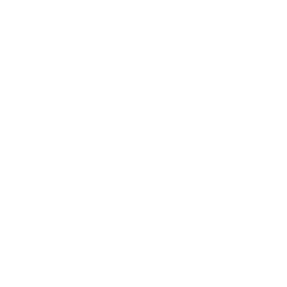 Vault 29