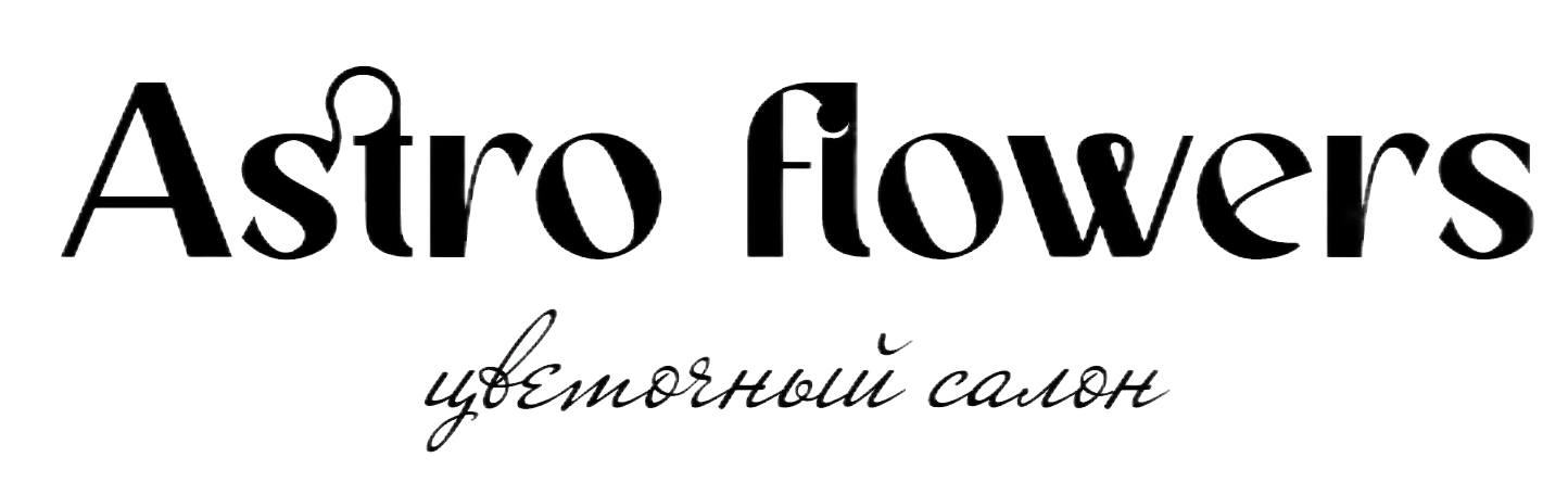 Цветочный Astro flowers