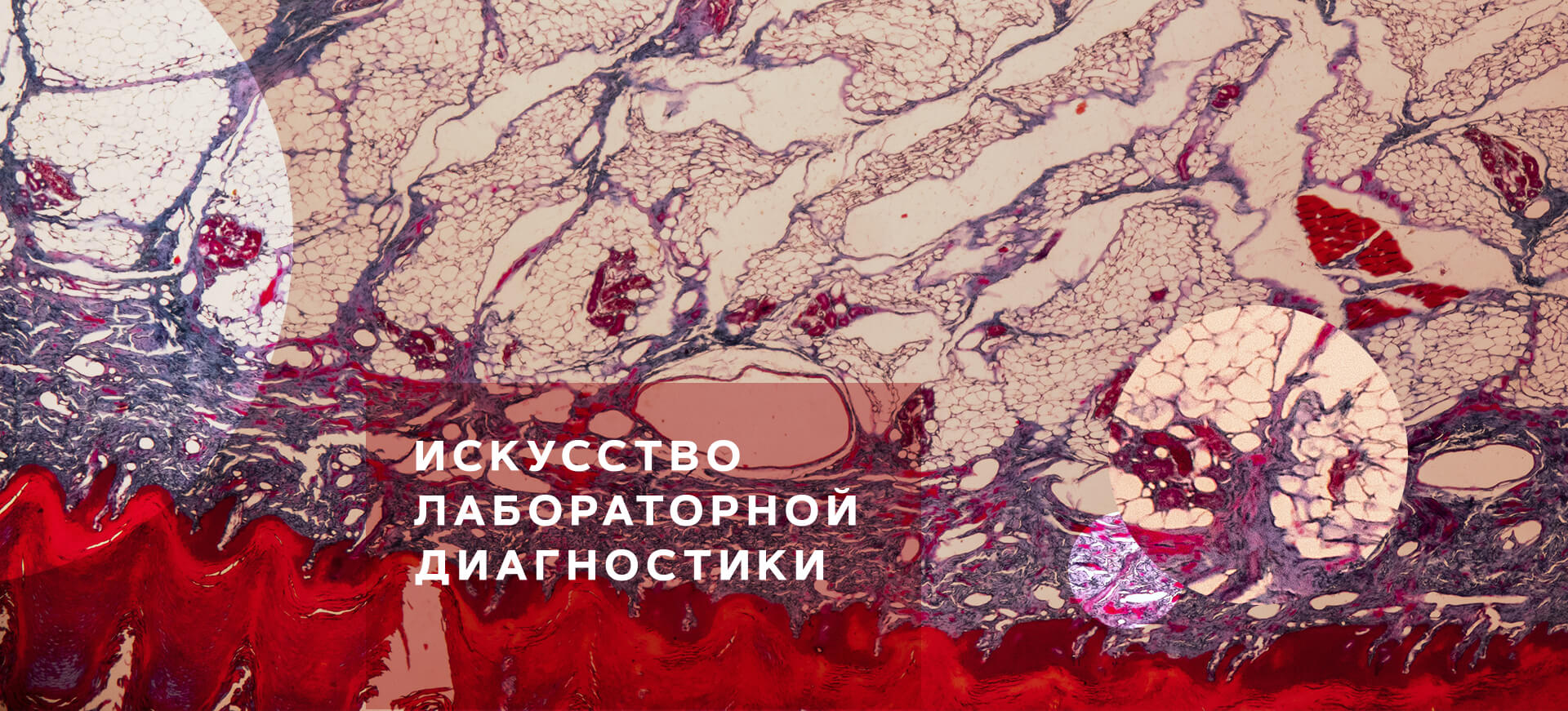 ОНЛАЙН ГАЛЕРЕЯ CL LAB