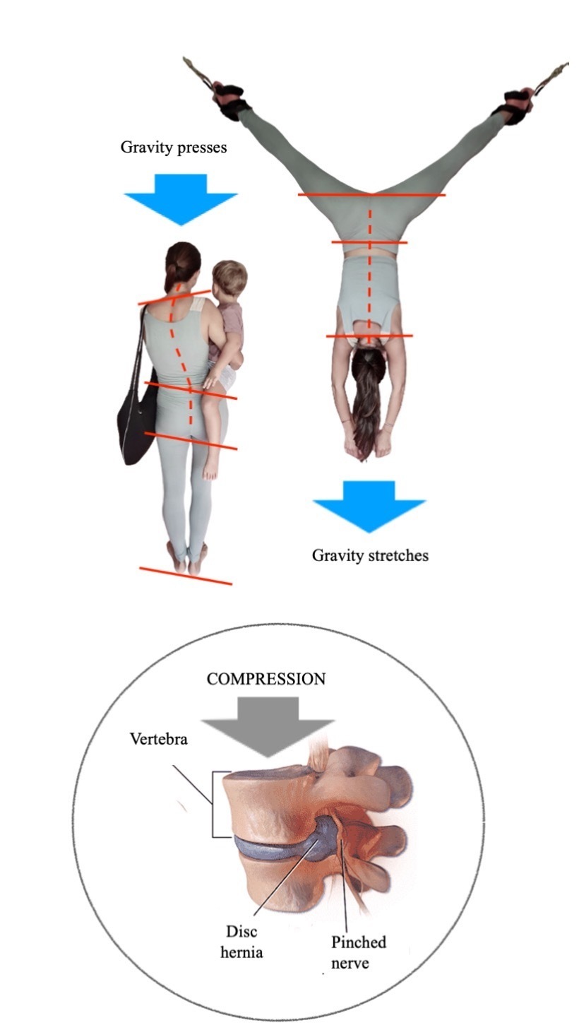 Gravity stretching.healing system for the spine, joints and the whole body.