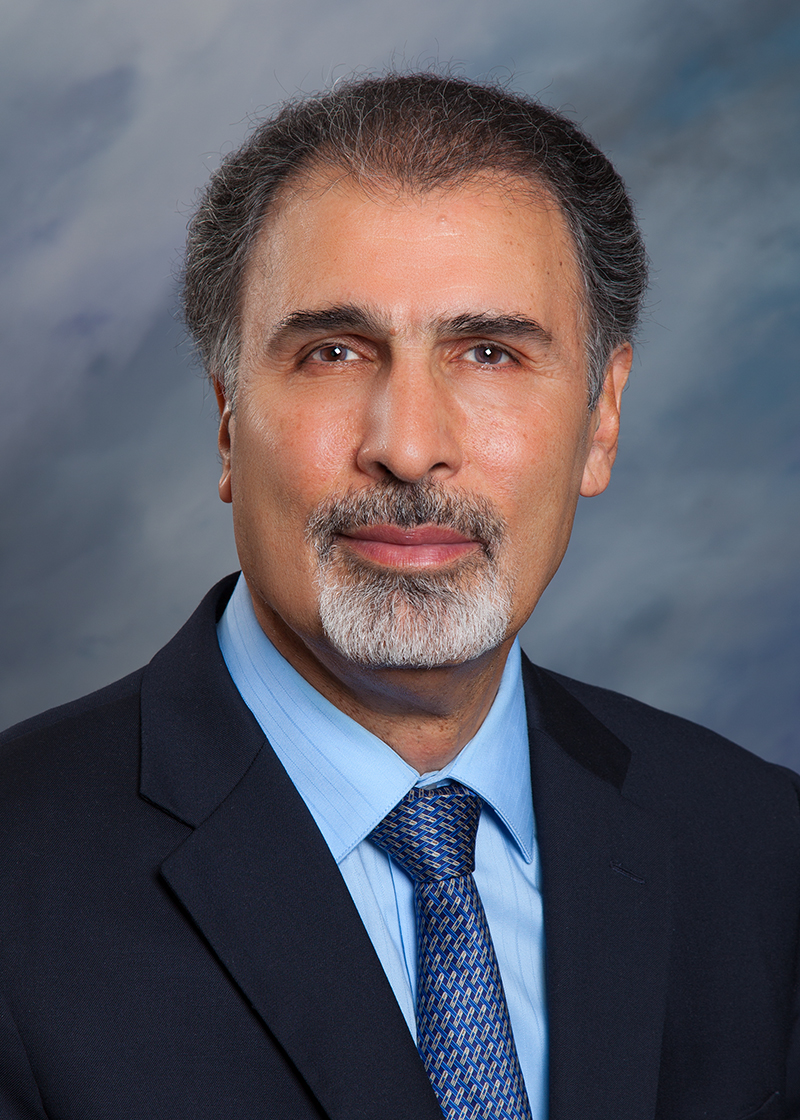 Terauchi & Torabinejad club meeting