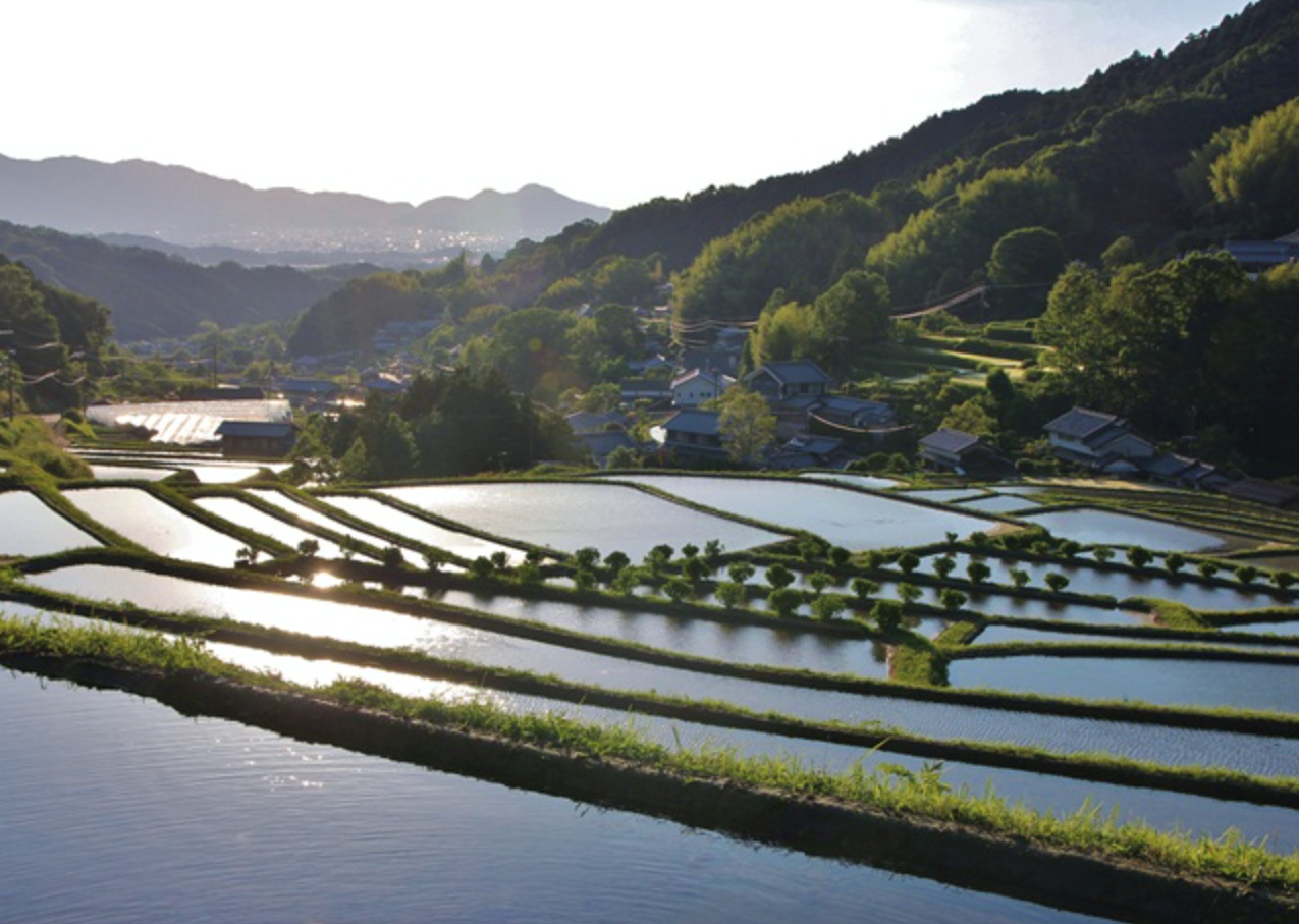 Japanese countryside