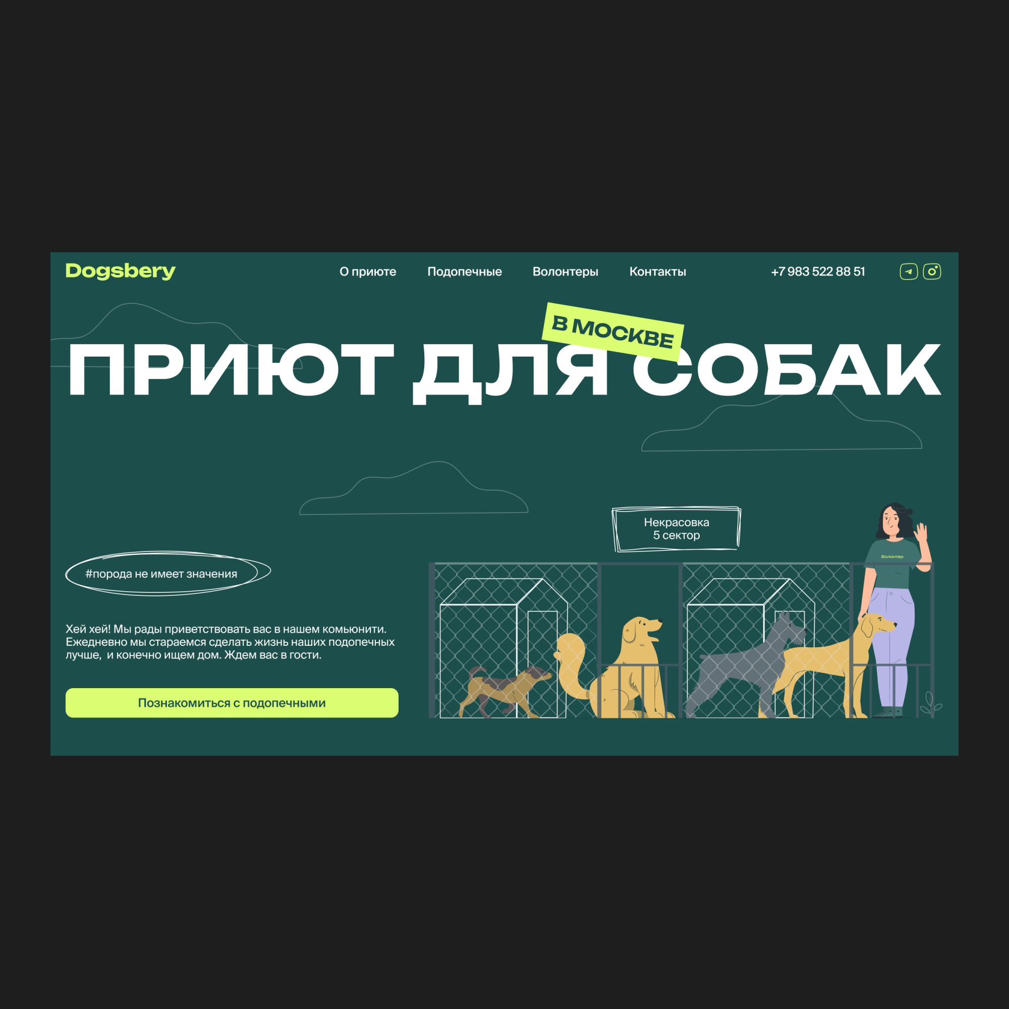 дзен-дизайнеры