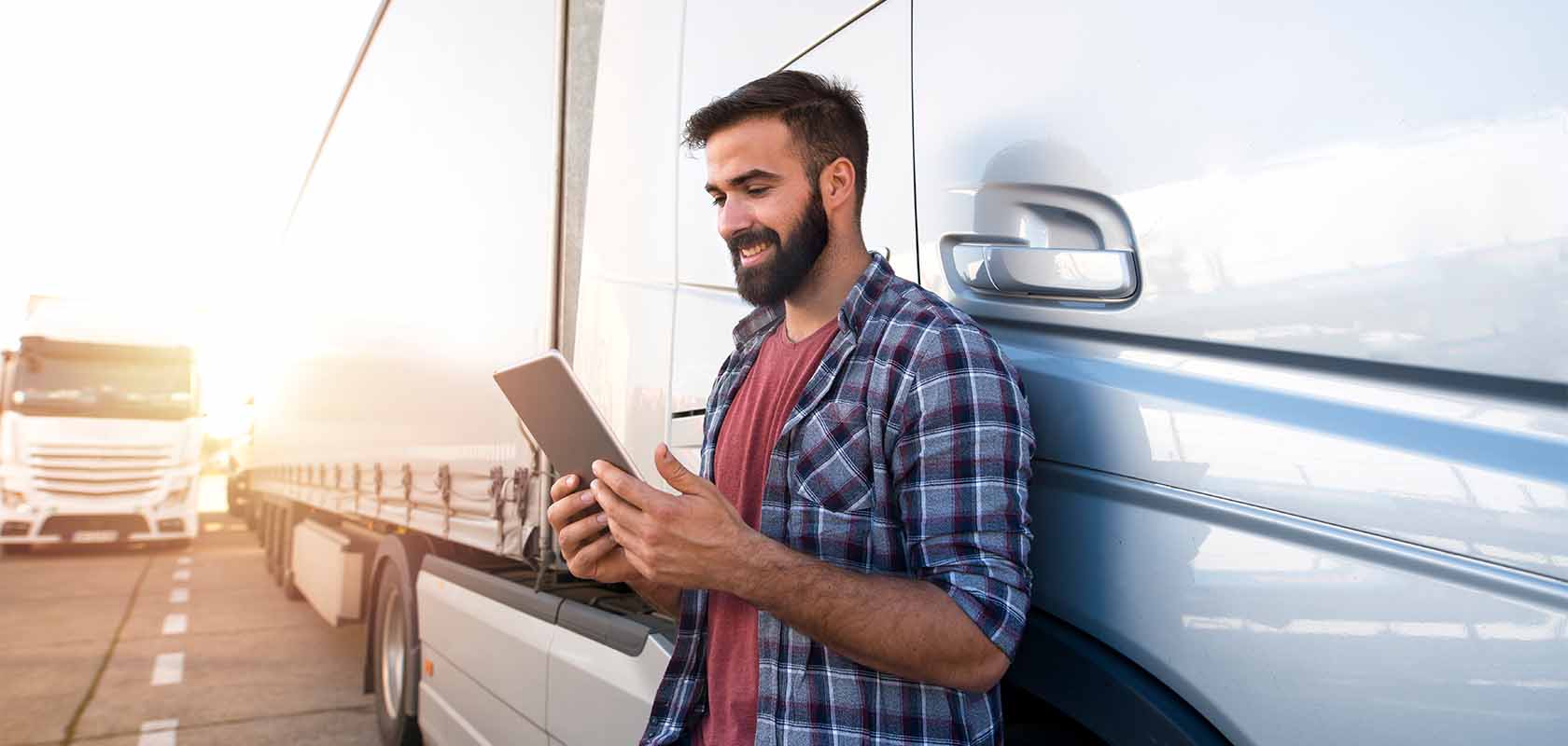 Что такое TMS от Йолка? | Yolka