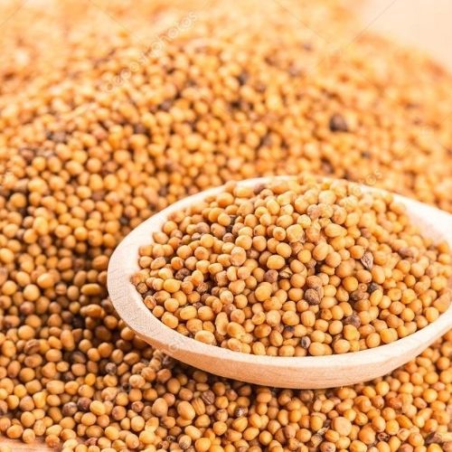 ООО "Русское поле" семена масличных культур