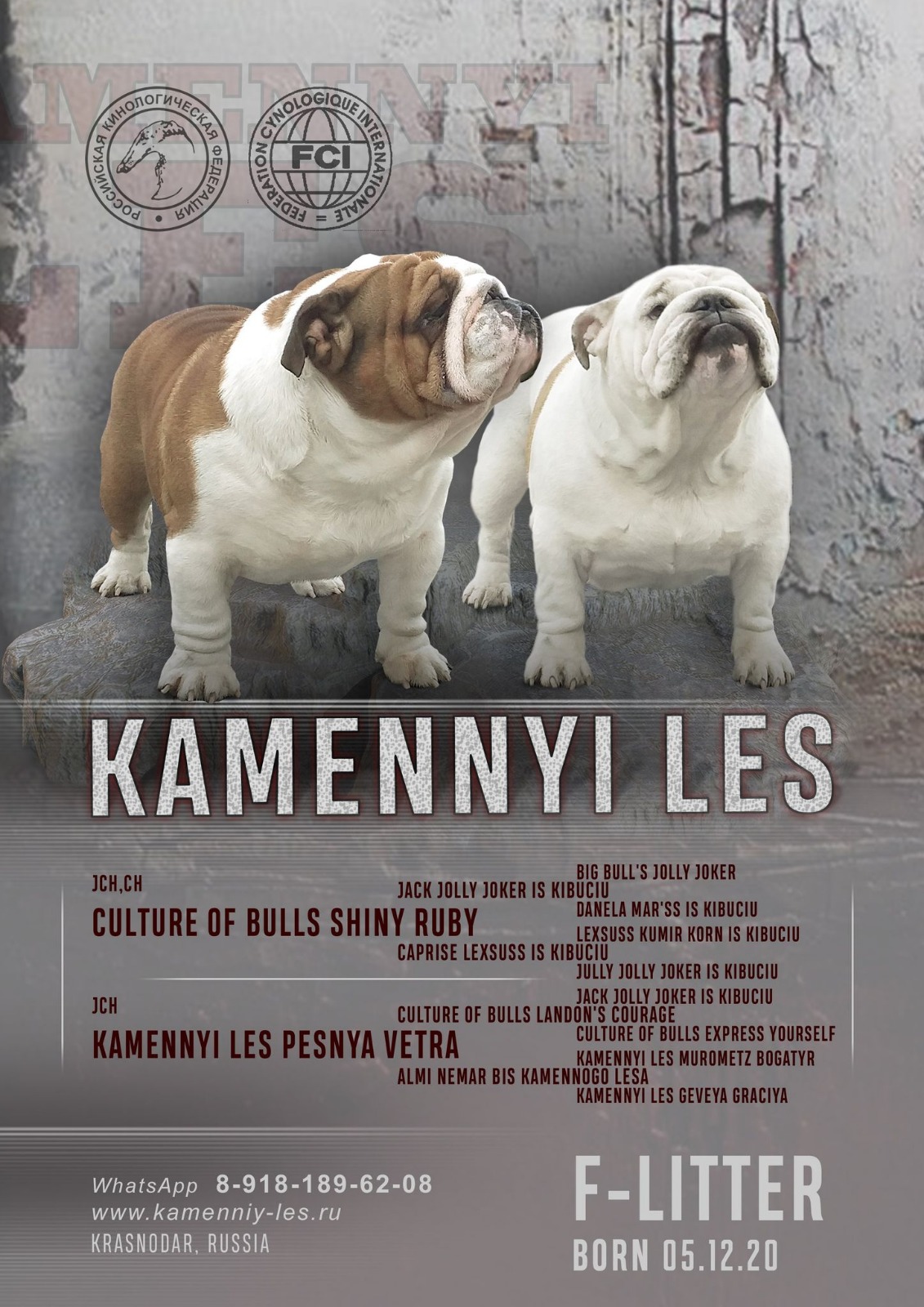 Продажа щенков и вязка собак в Краснодаре