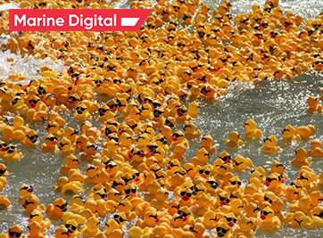 How rubber ducks help study the structure of the ocean