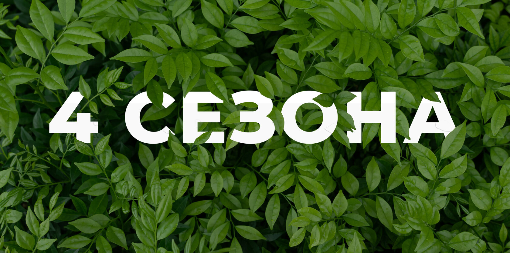 Жилой комплекс «Четыре сезона» в г. Ессентуки