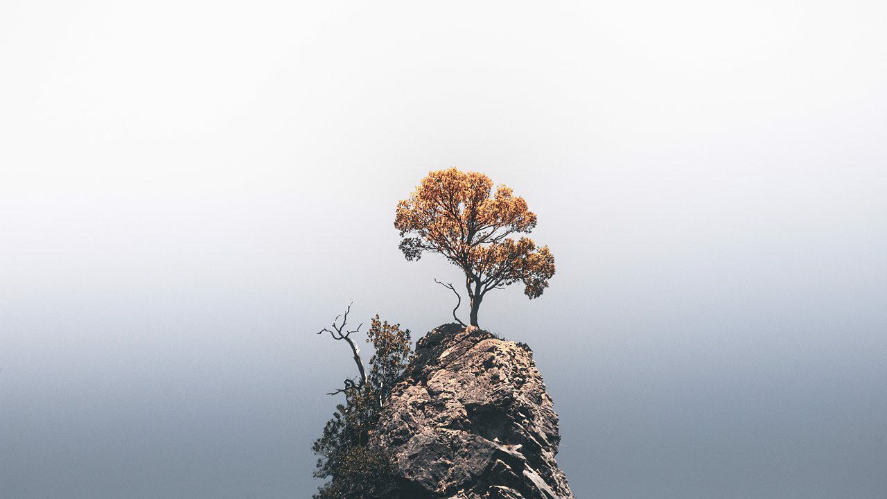 Manganum: The Chrome extension that makes you productive