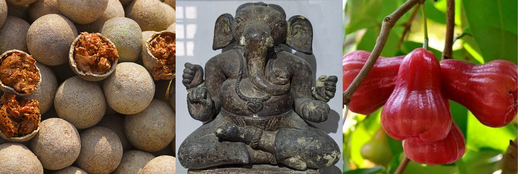 Sapta Matrika - BPHS