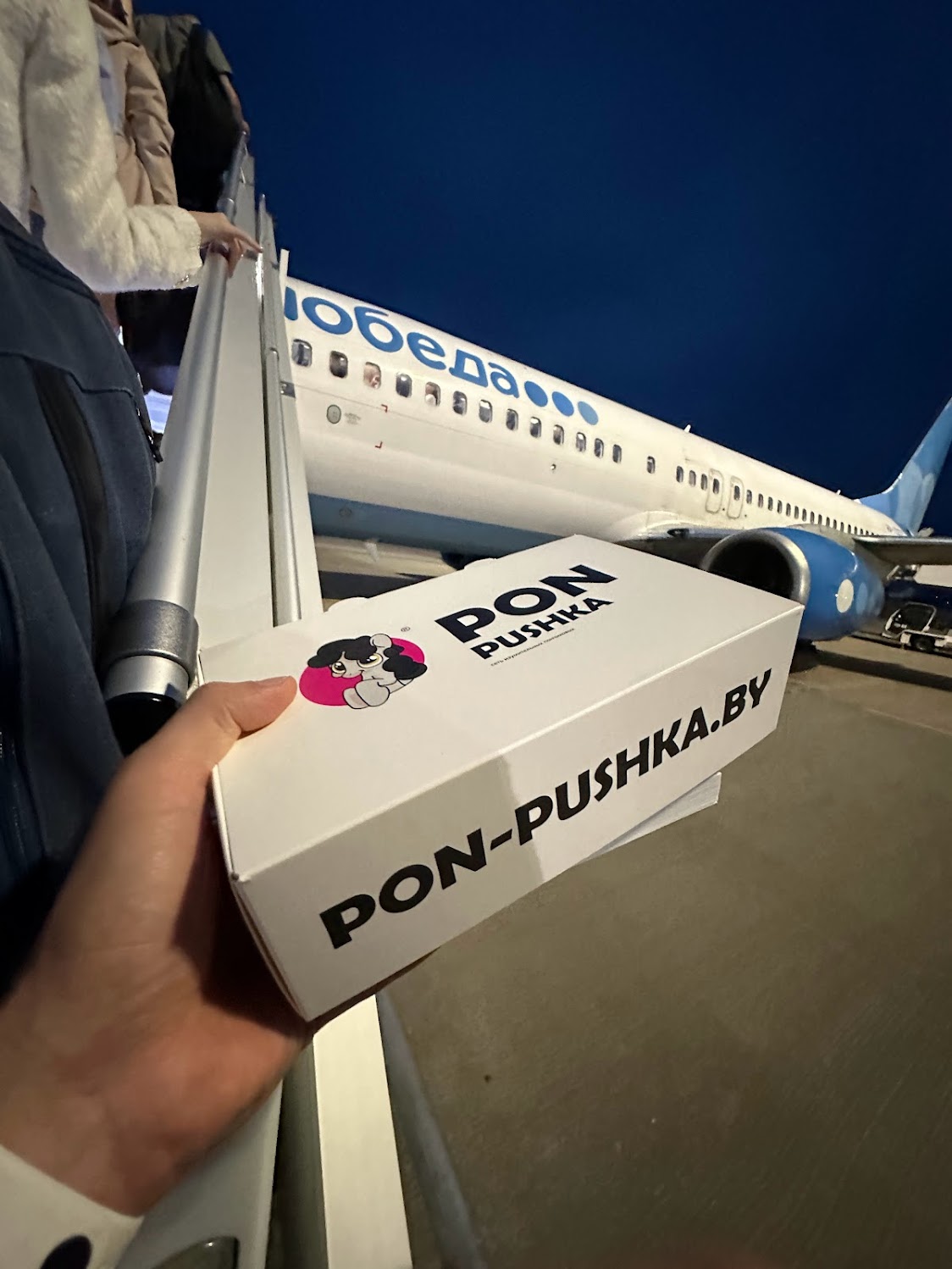 ПОН-ПУШКА: амбассадор бренда