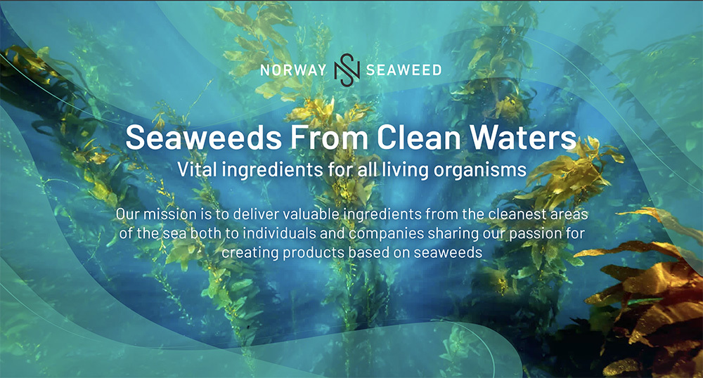 Vital marine ingredients from brown seaweeds - unique seaweed extracts ...