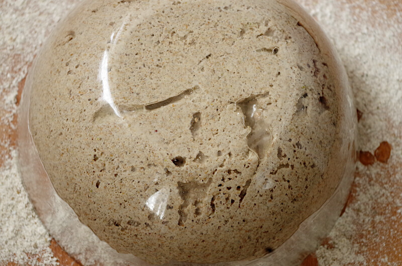 Authentic Northern Rye Bread Recipe with Only Rye Flour, Salt and Water