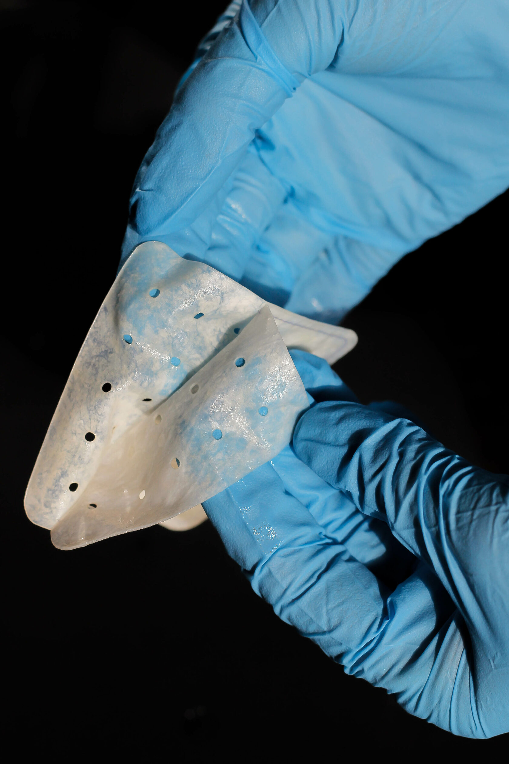 Biological envelope bioNEST