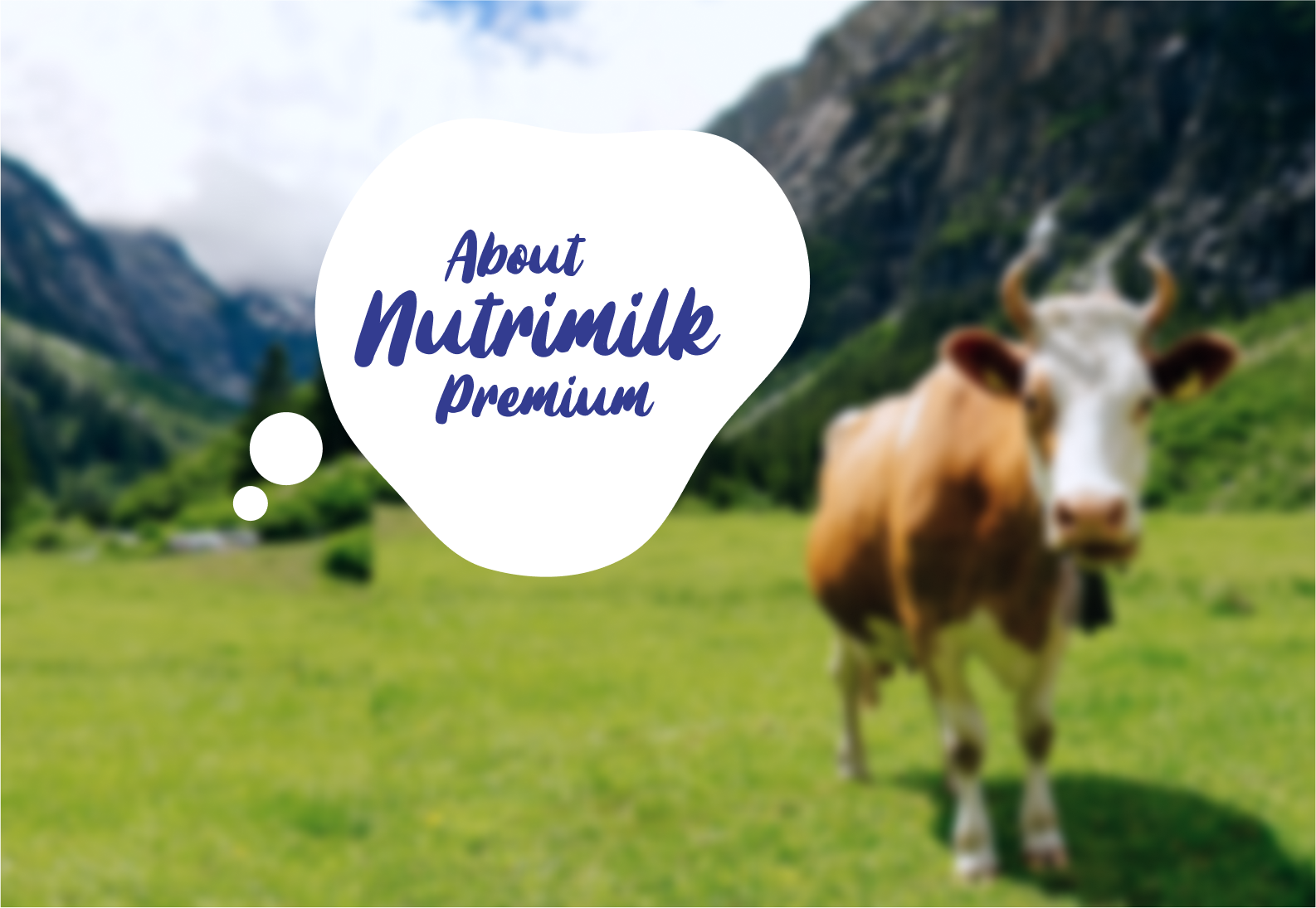 Nutrimilk | À propos de la marque: du lait jusqu’aux préparations pour ...