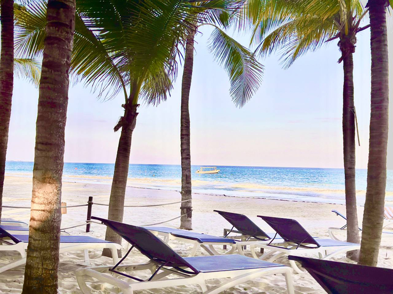 Uncover Paradise at Catalonia Playa Maroma Resort in Mexico - Alisa ...