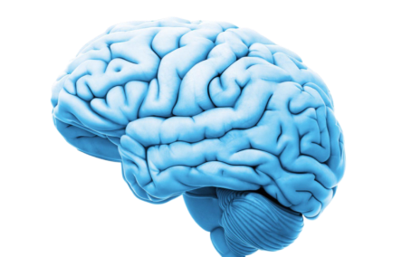 EVALITE.Superfood - товары для здоровья и саморазвития