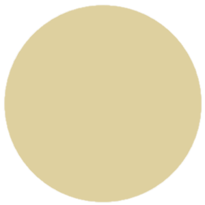 Ворота распашные из профнастила. Низкая цена. Купить