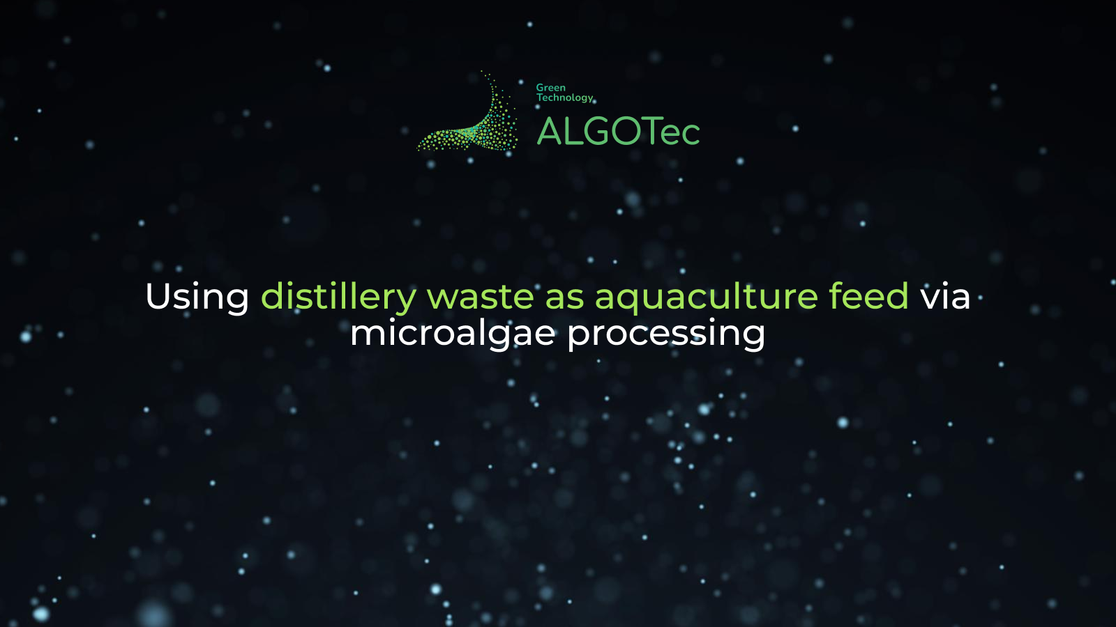 Using distillery waste as aquaculture feed via microalgae processing