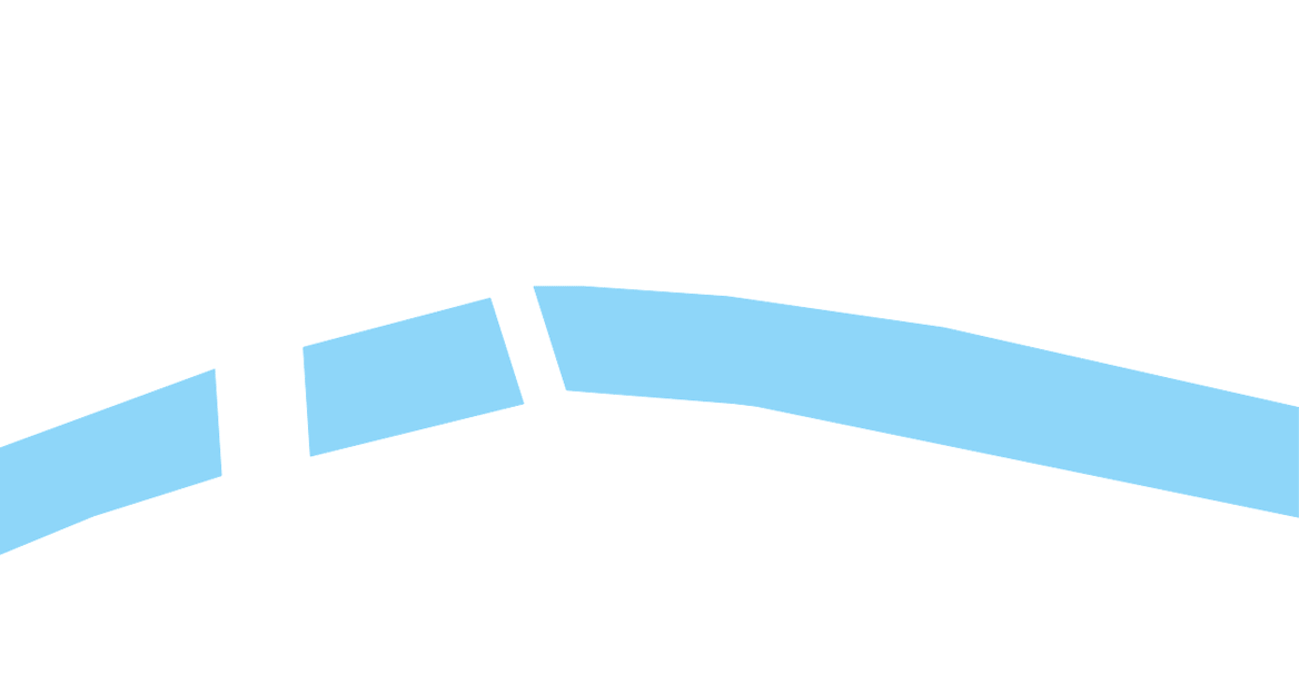 Vector City Map by 2GIS