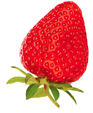 BELGOSTAR - новая эпоха вкуса и упаковки. Осталось только попробовать!