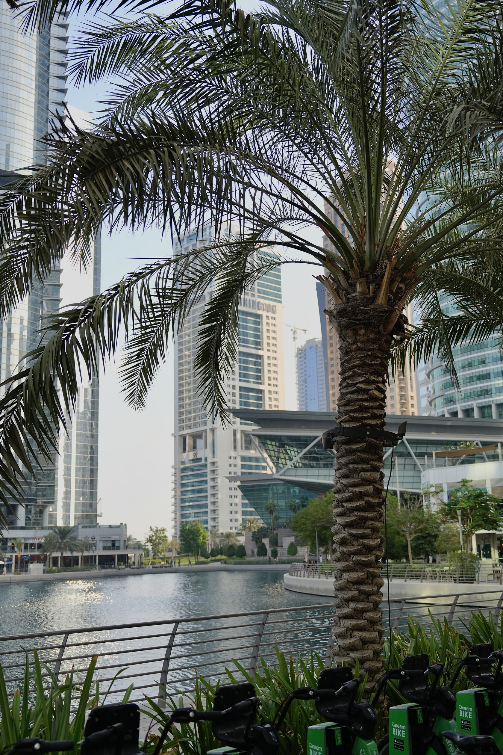 Dubai Guide for Expats: Essential Tips for Living, Working & Thriving