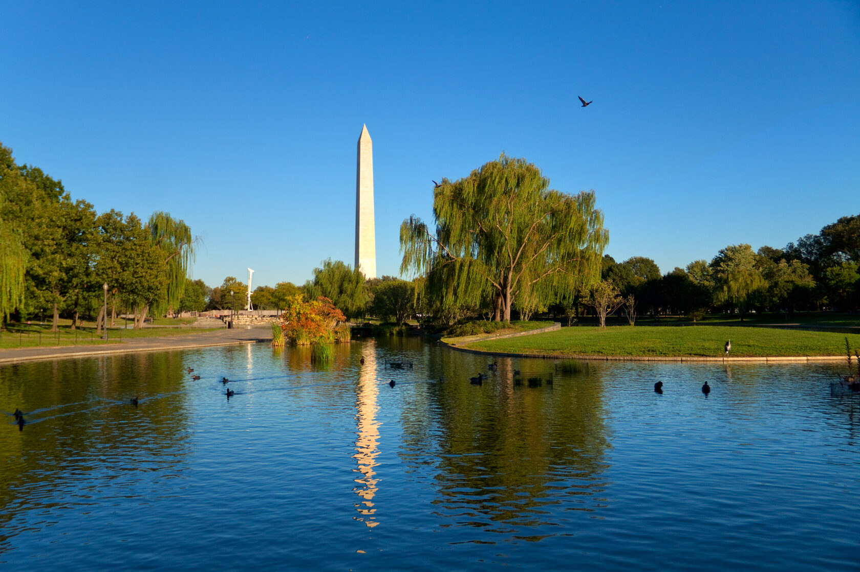 Constitution Gardens: A Peaceful Retreat in The Heart of Washington, D.C.
