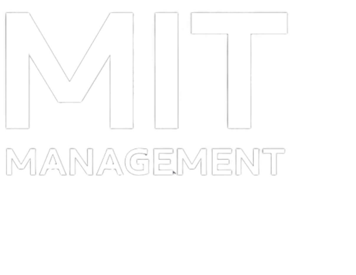 МИТ Менеджмент - консалтинговые услуги по настройке гибкого управления