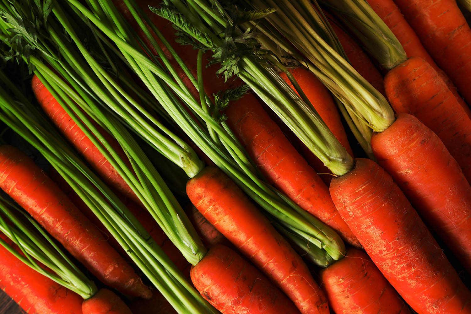 Cool-Season Plants: Why They Don’t Need Heat Mats to Grow