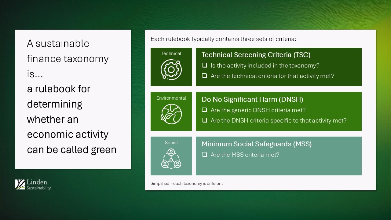 Demystifying Sustainable Finance Taxonomies
