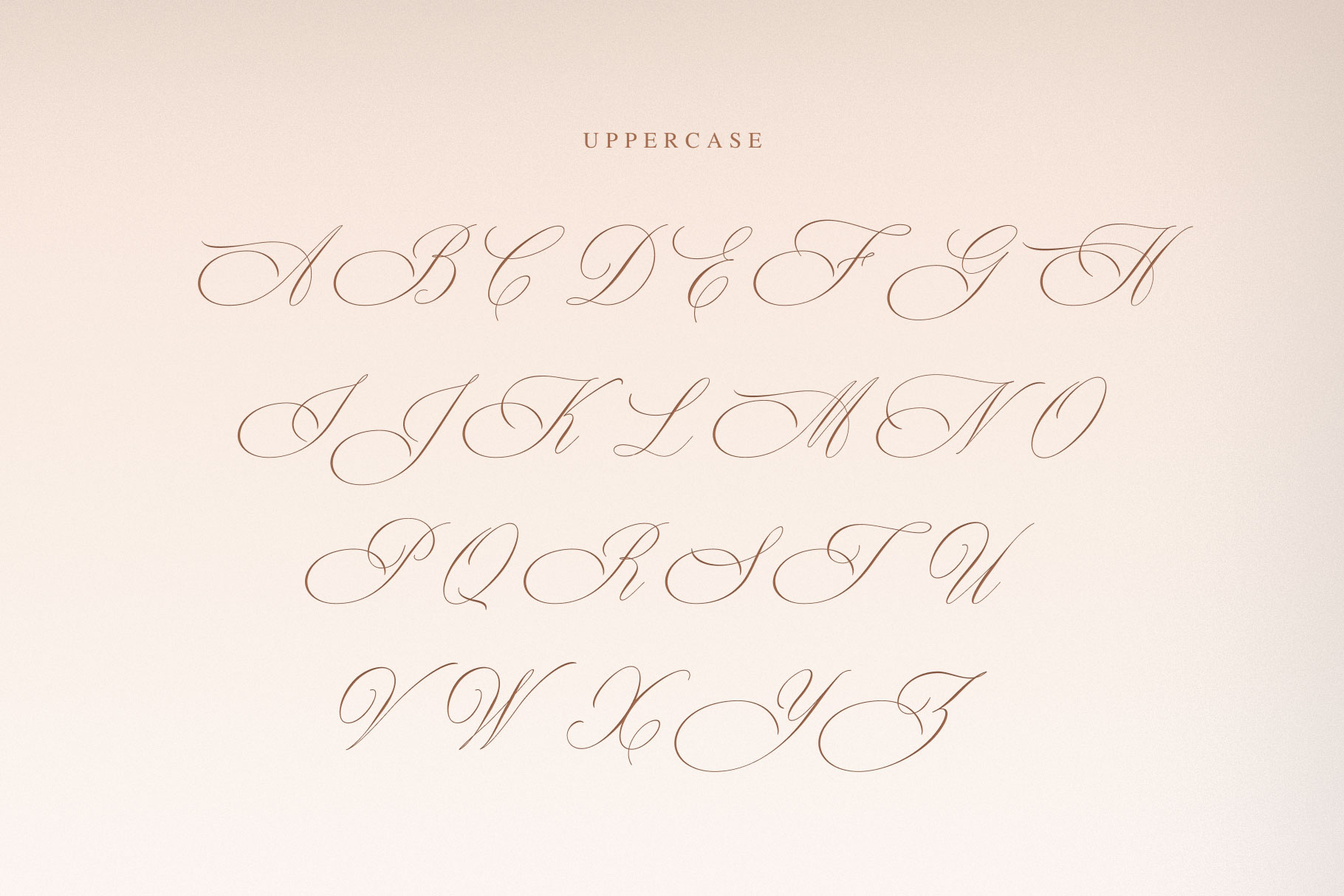 Ecatherina Font | Spencerian scripts - Blessed Print