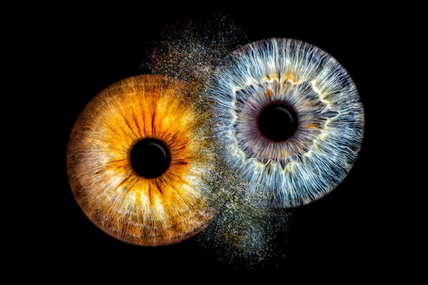 YOUR.EYESPHOTO - делаем макро фото радужки глаза в Самаре и Сызрани