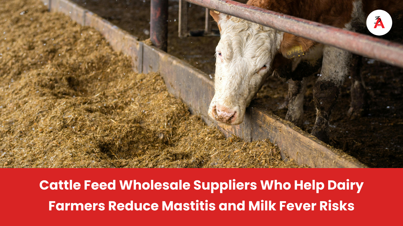 Cattle Feed Wholesale Suppliers Who Help Dairy Farmers Reduce Mastitis ...