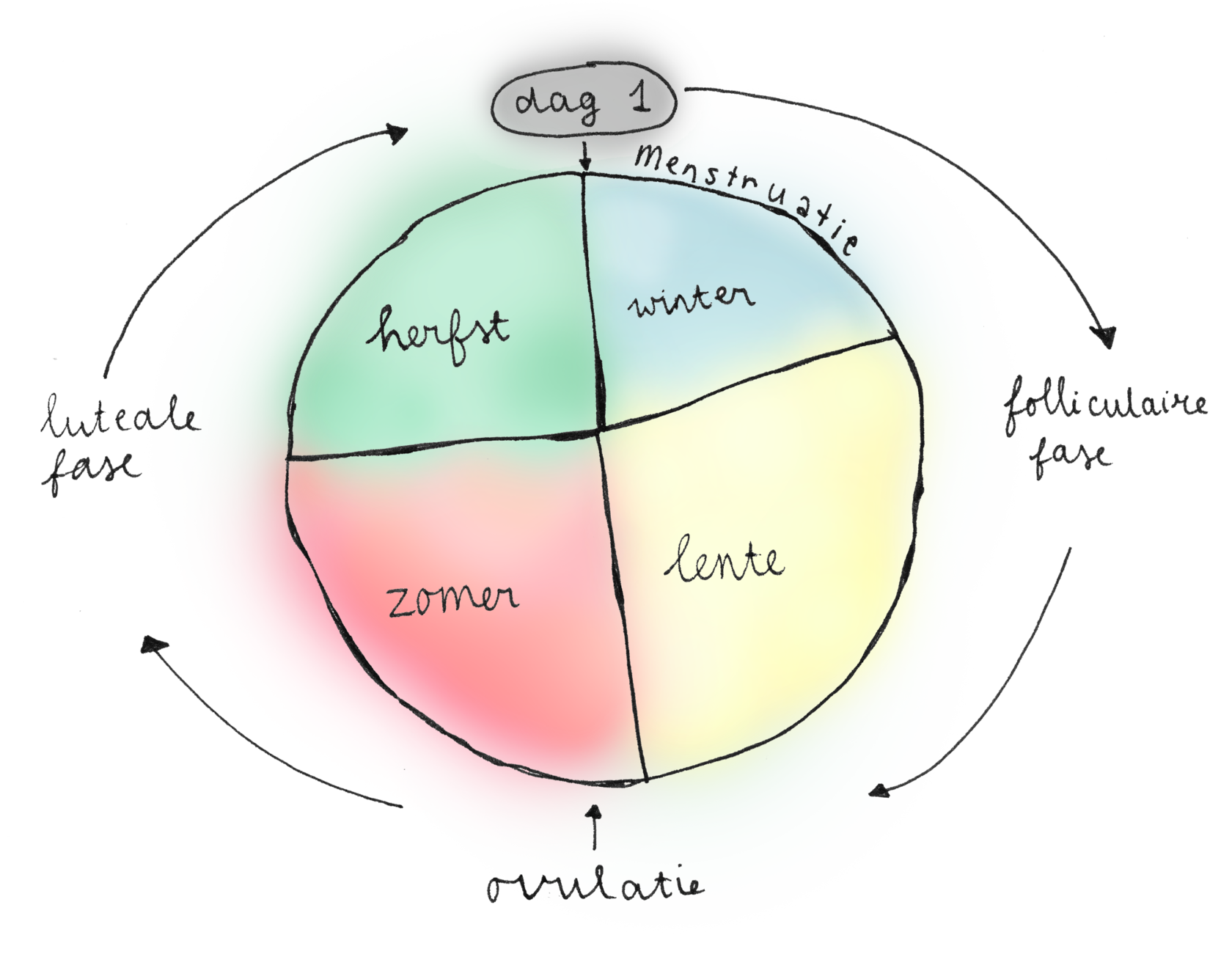 VOOS Leertuin - Menstruatie