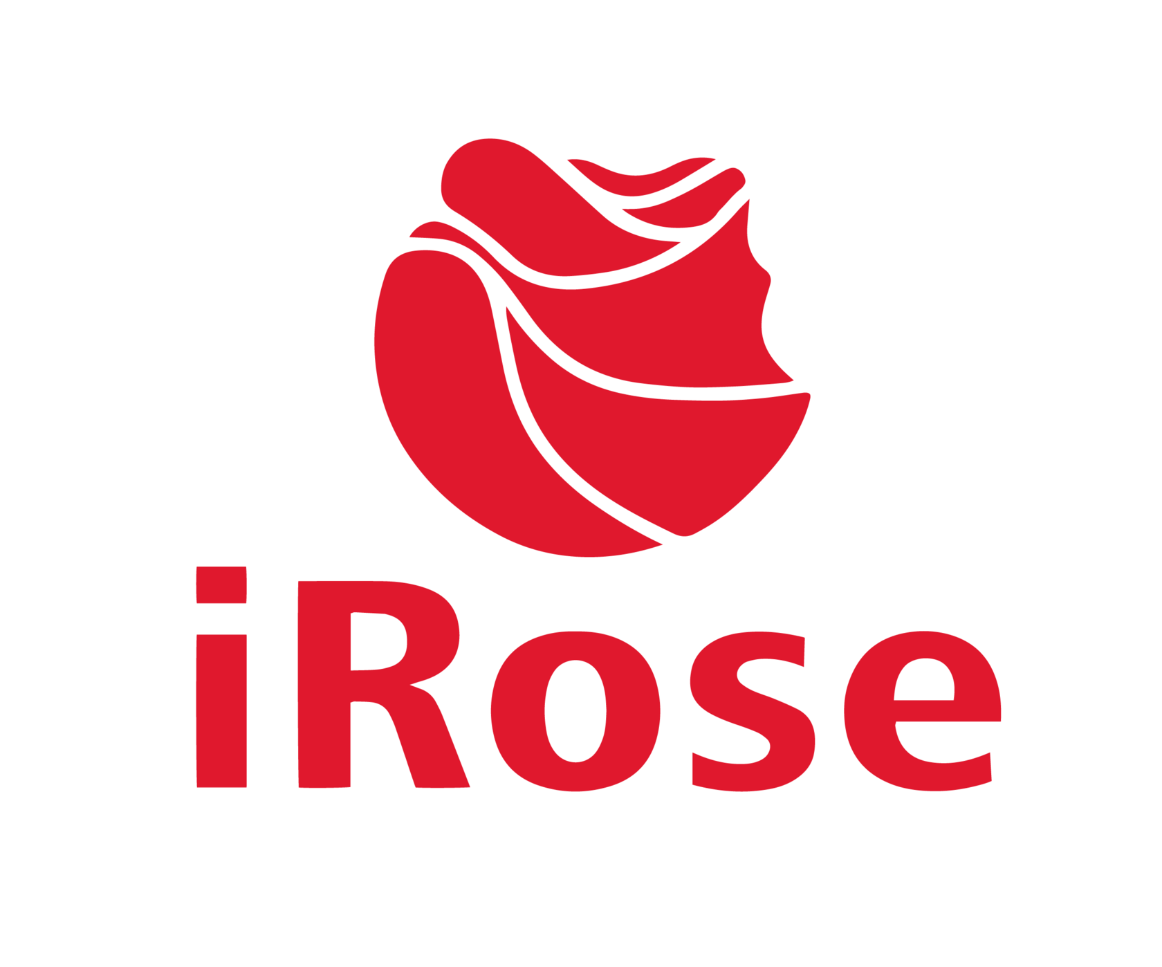 Сеть цветочных магазинов iRose