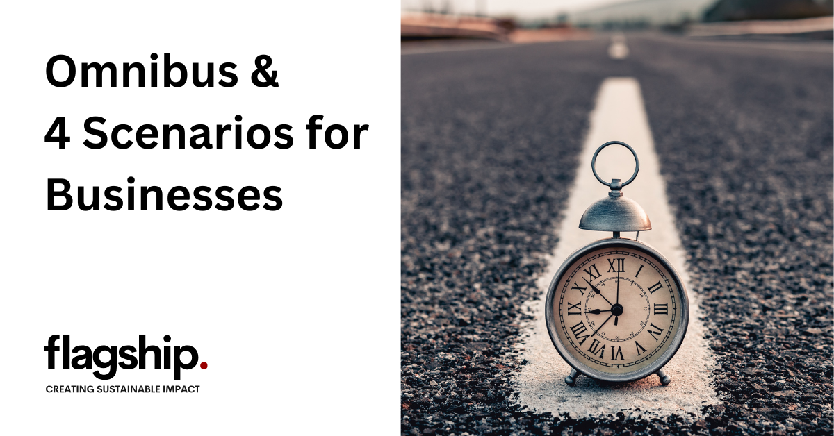 CSRD Omnibus: 4 strategie pro splnění požadavků ESRS v roce 2025