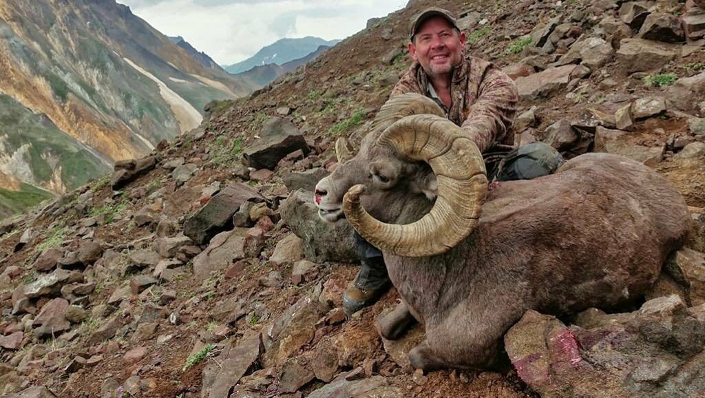 Snow sheep hunting