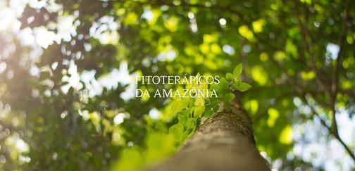 Fitoterápicos da Amazônia | SOS Amazônia