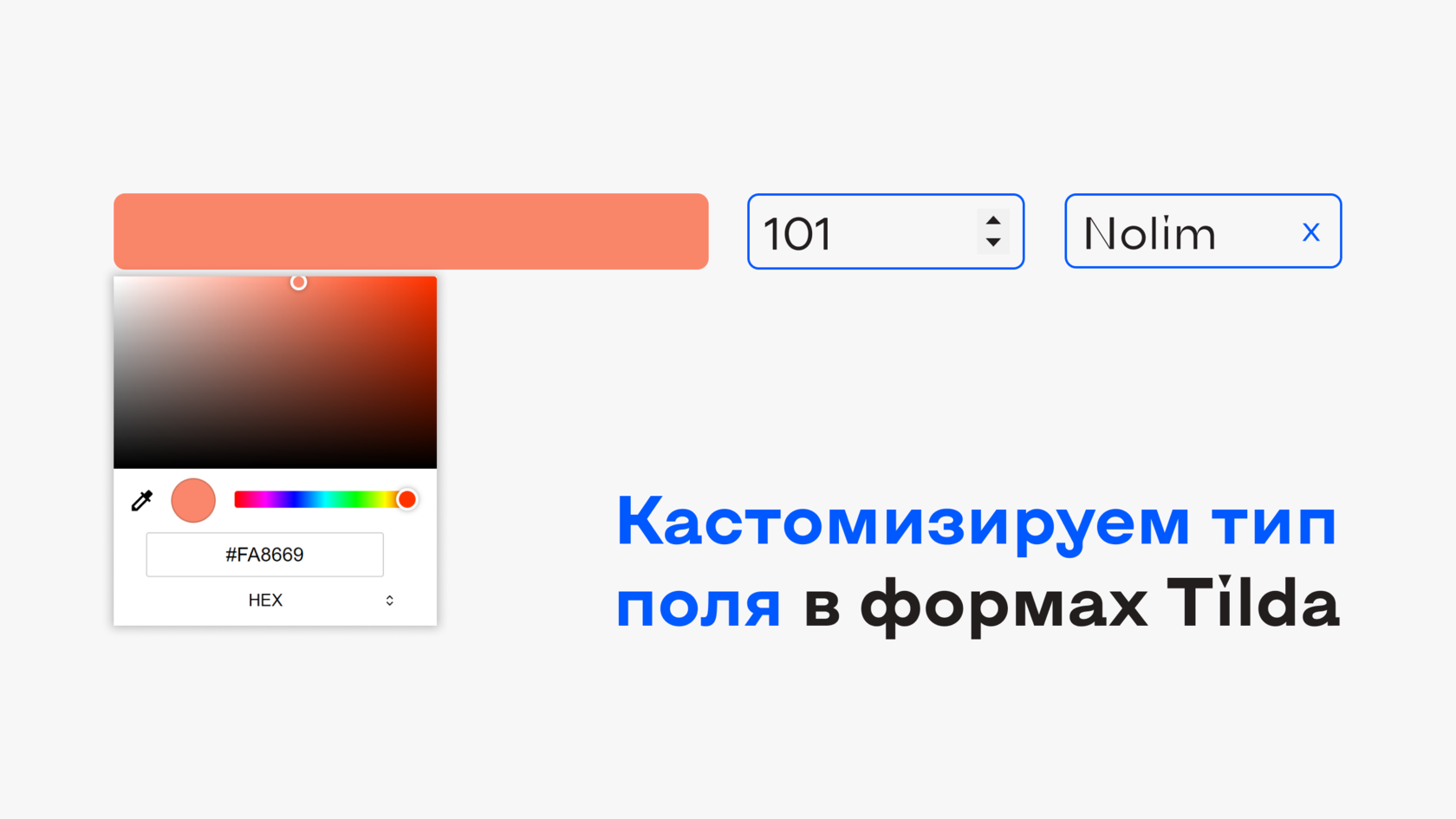 Кастомизируем тип поля в формах в Тильда: модификация Tilda от Нолим
