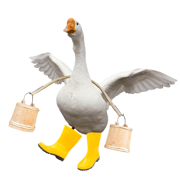 Selectel Day Off 2025