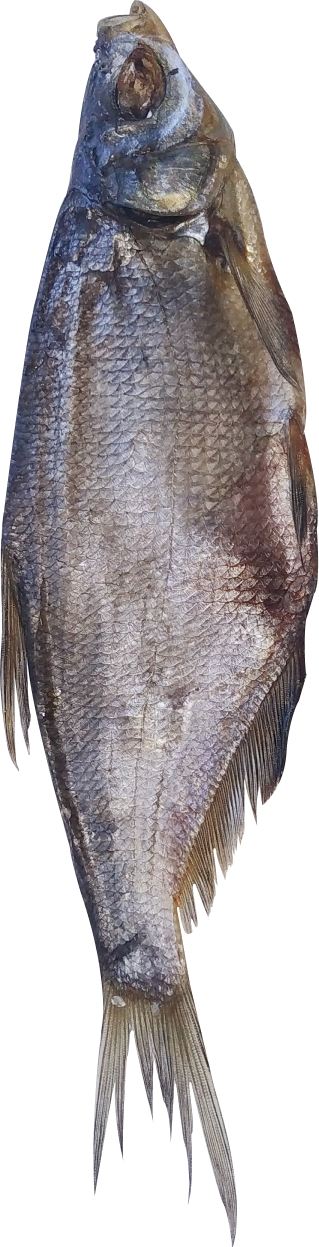 Вяленая вобла из Астрахани !!! Доставка по всей России от 1 кг.